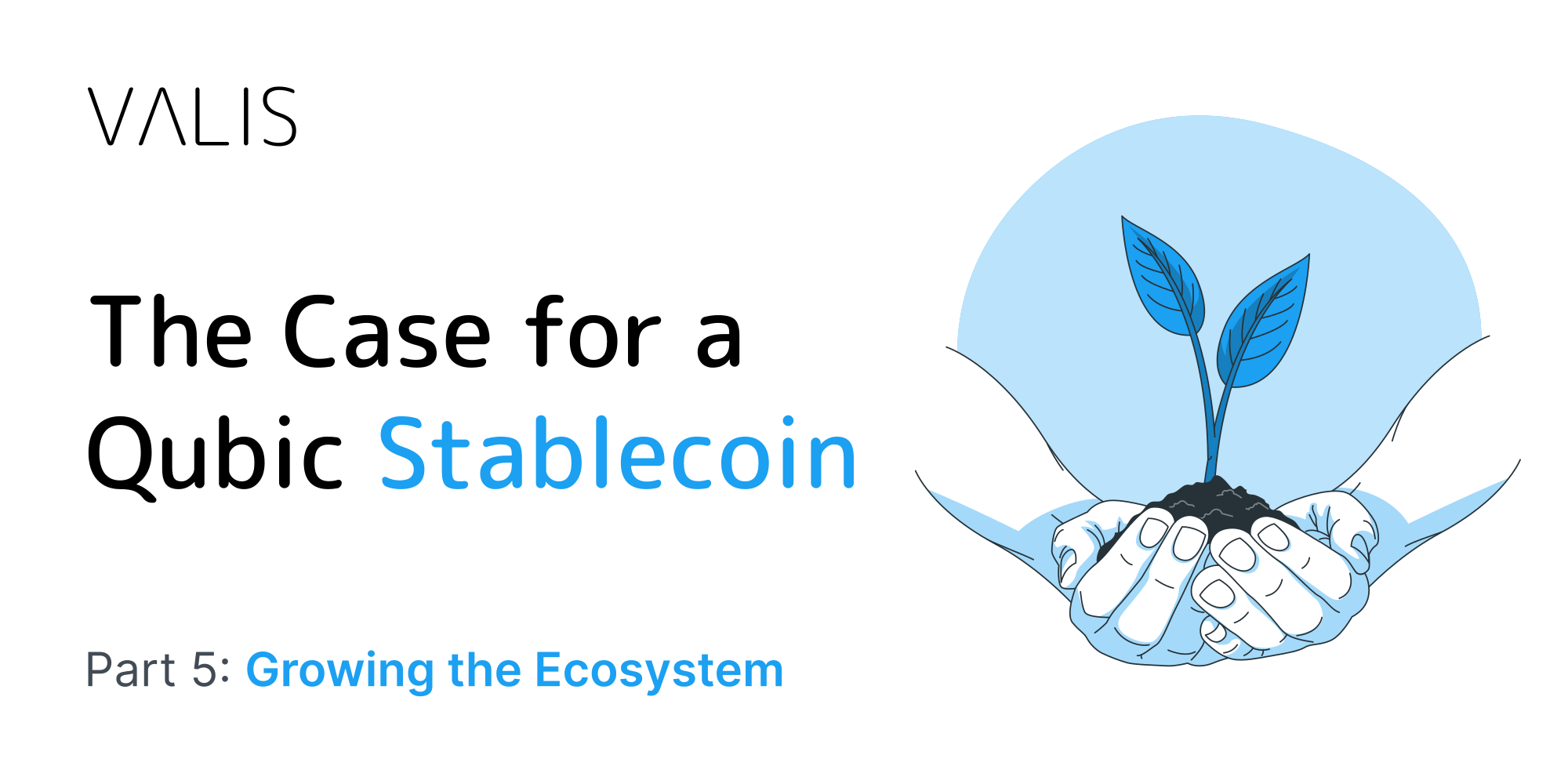 The Case for a Qubic Stablecoin - Part 5: Growing the Ecosystem