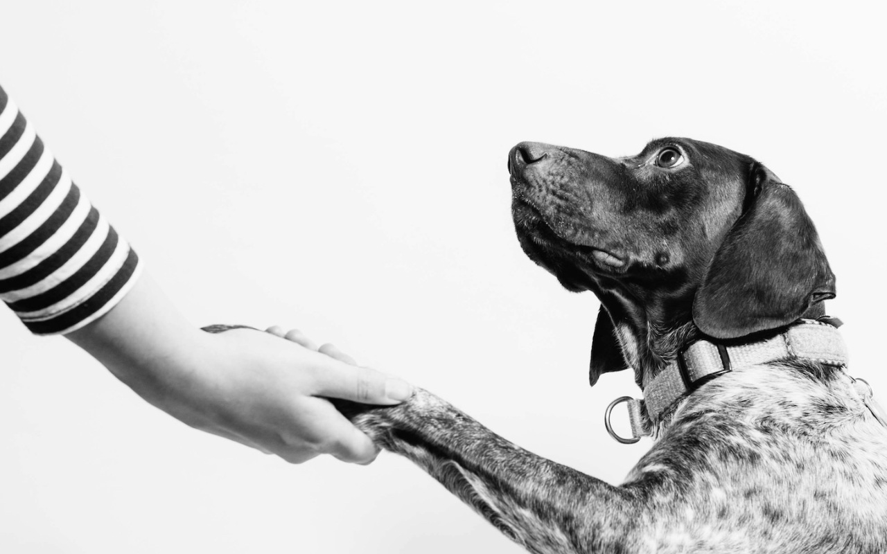 MCPとA2Aが拓く、AI時代のメディア像｜Ximera Media Next Trends