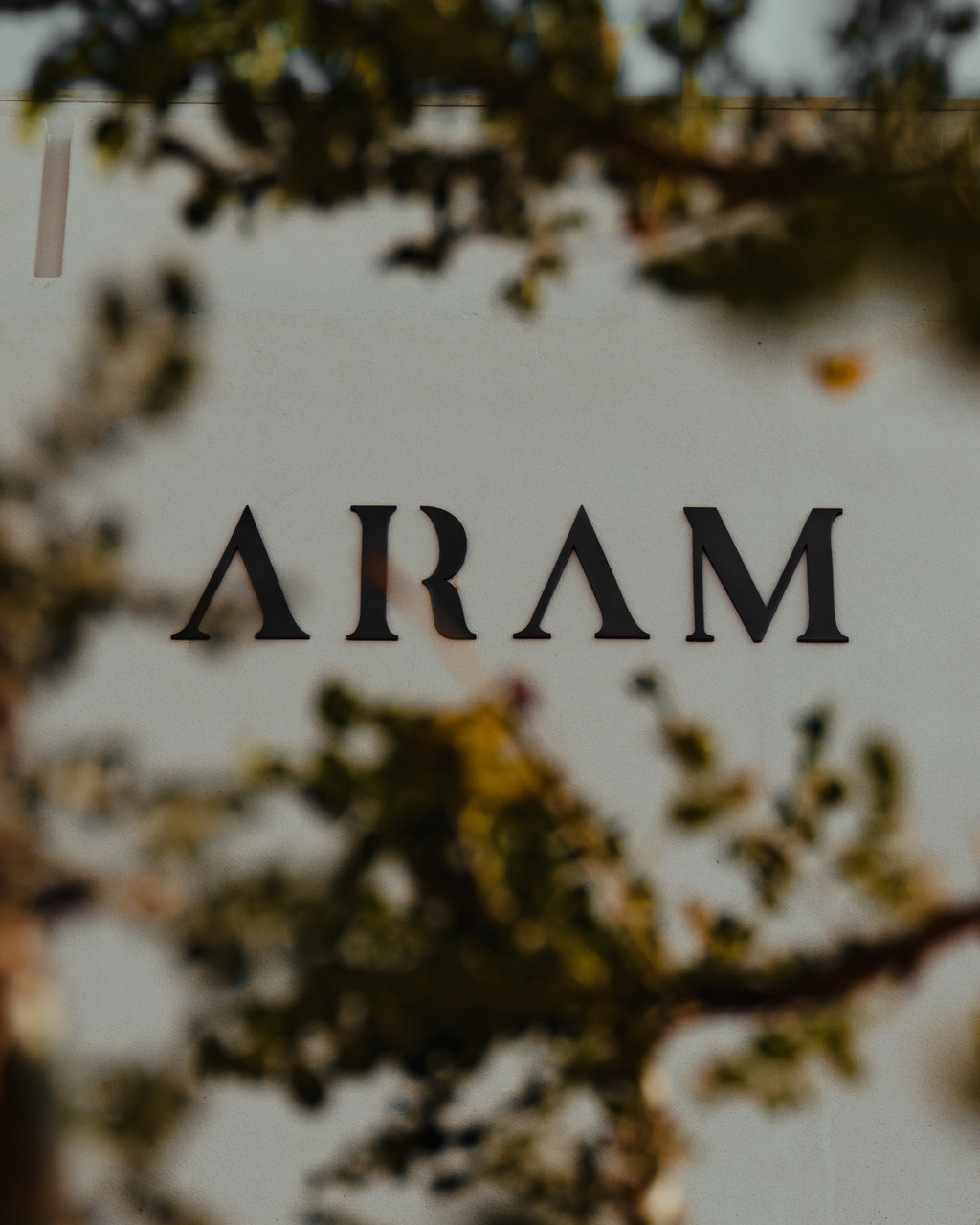 ARAM PAGE