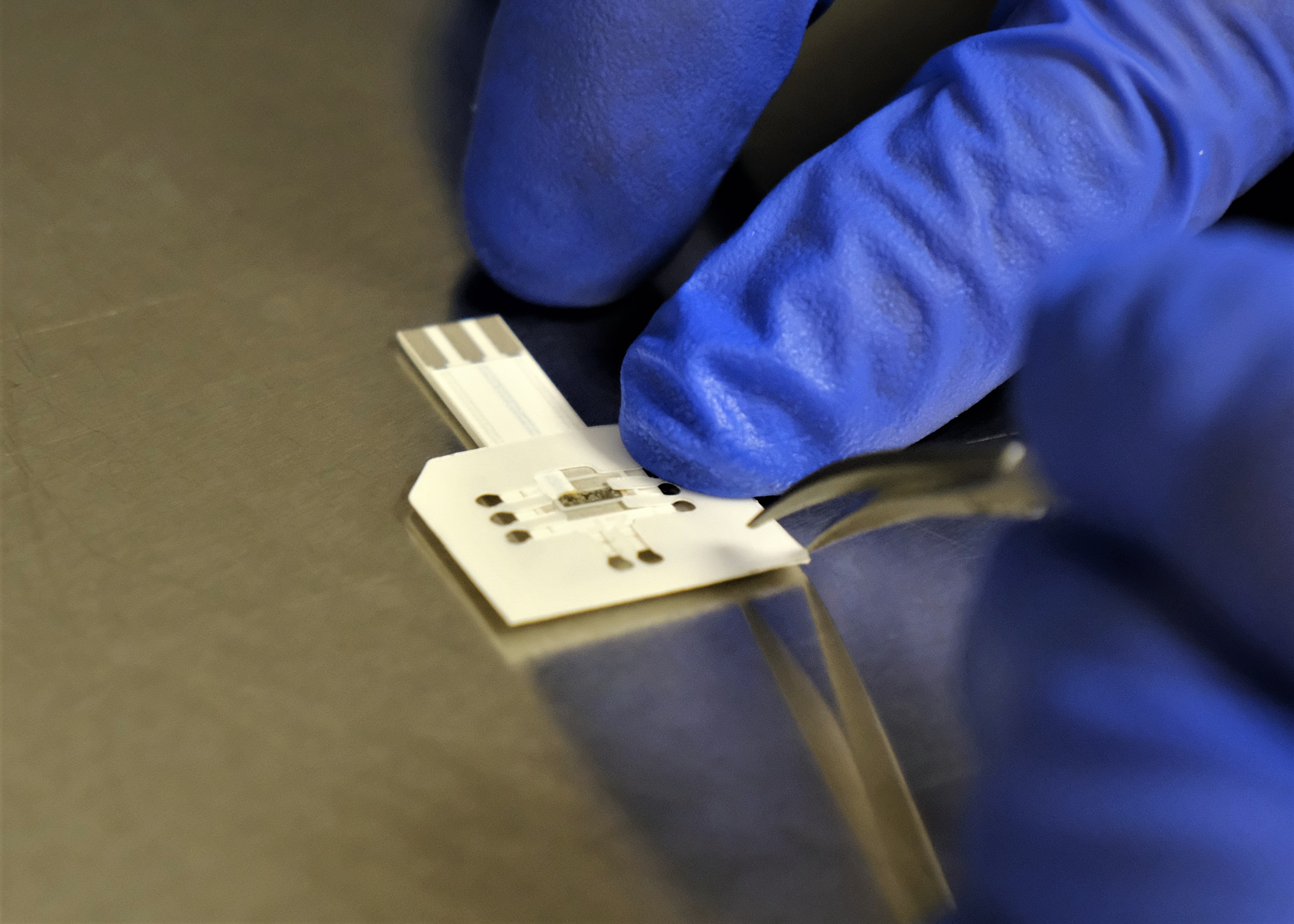 Vivien Perrelle | Technology Tutorials