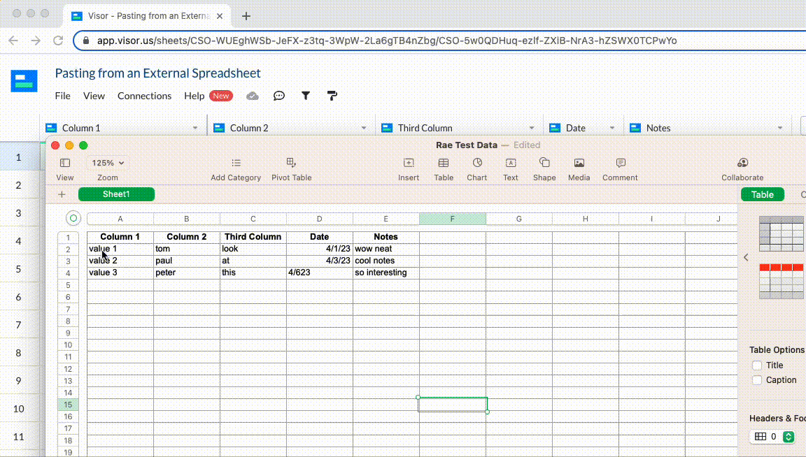 Importing Data From Spreadsheets Into Visor Visor