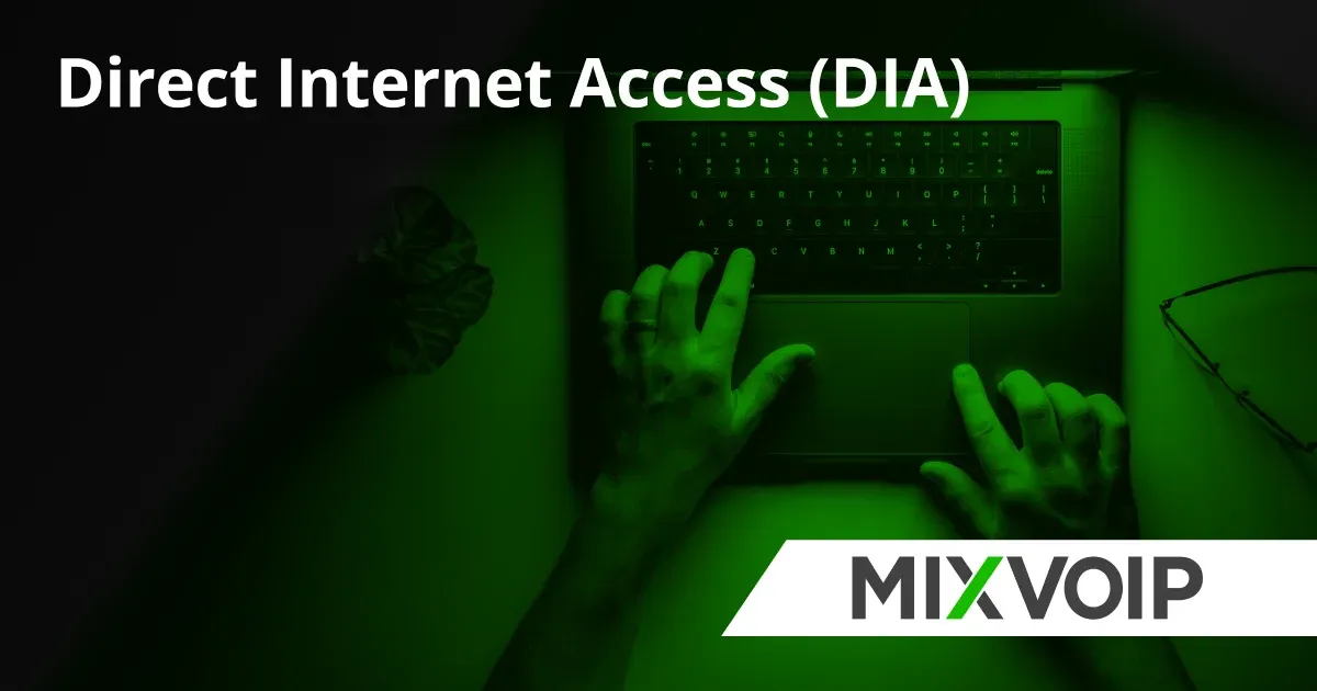 Dediziertes Business-Internet mit DIA- und SLA
