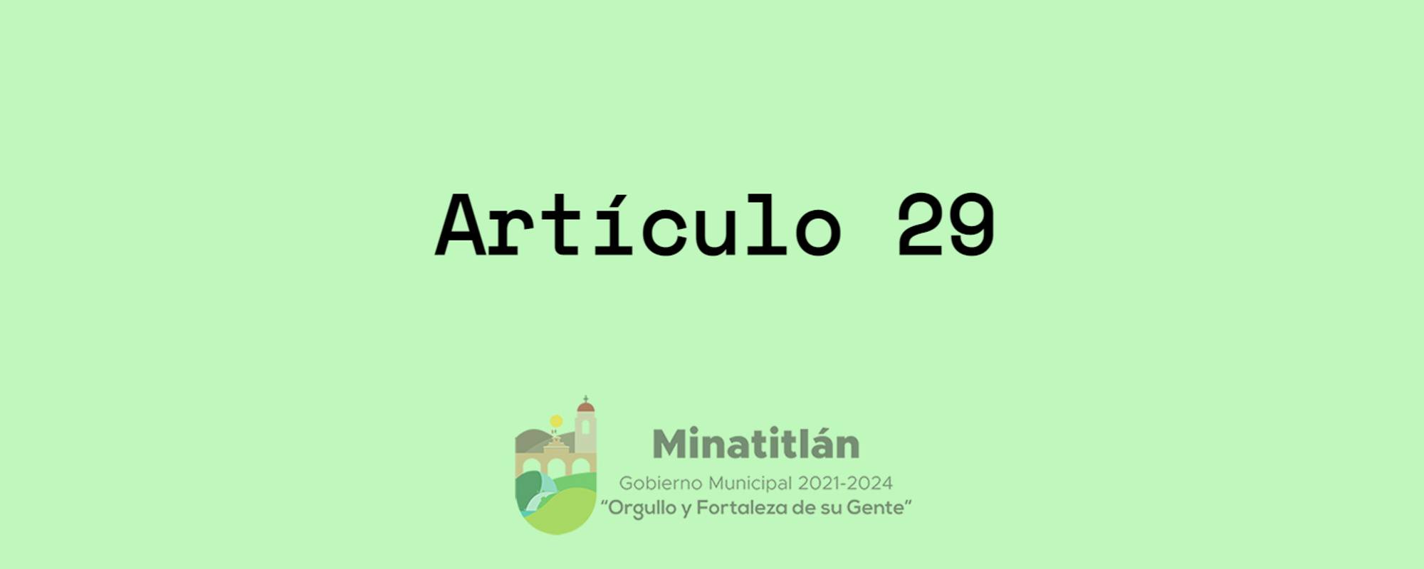 Artículo 29